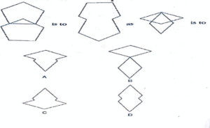 Non-Verbal Intelligence Test PDF | 200+ Solved Questions